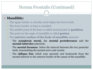 Anatomy head and neck(norma frontalis) | PDF