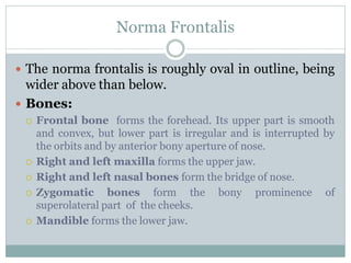Anatomy head and neck(norma frontalis) | PDF