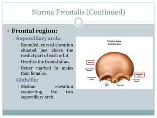 Anatomy head and neck(norma frontalis) | PDF