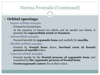 Anatomy head and neck(norma frontalis) | PDF