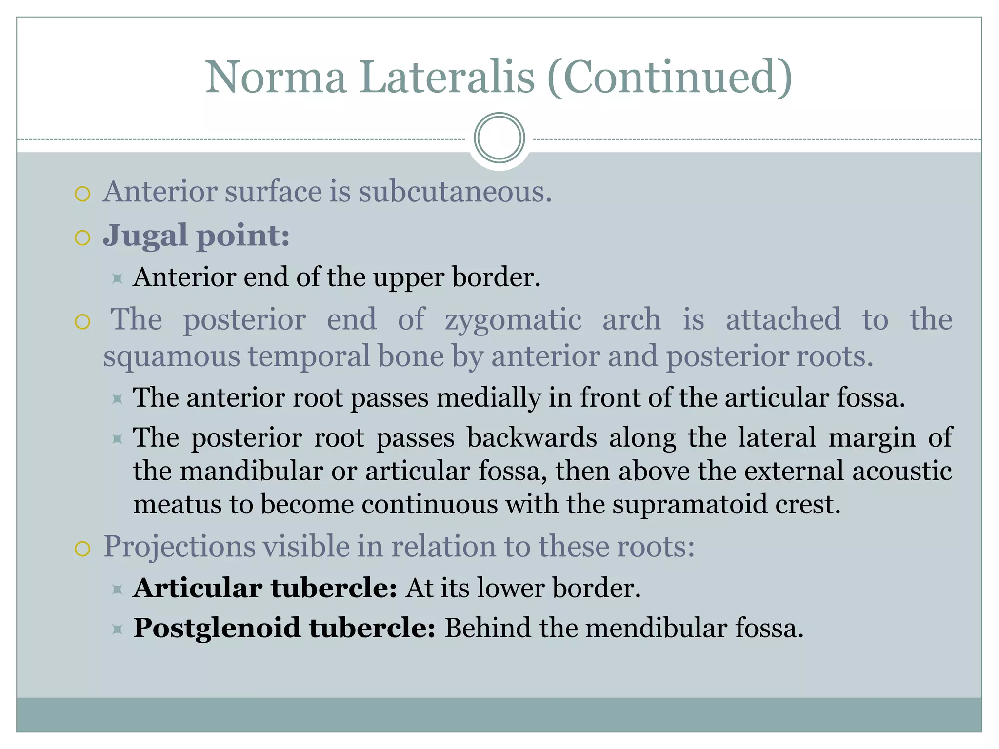 Anatomy head and neck(norma lateralis) | PDF