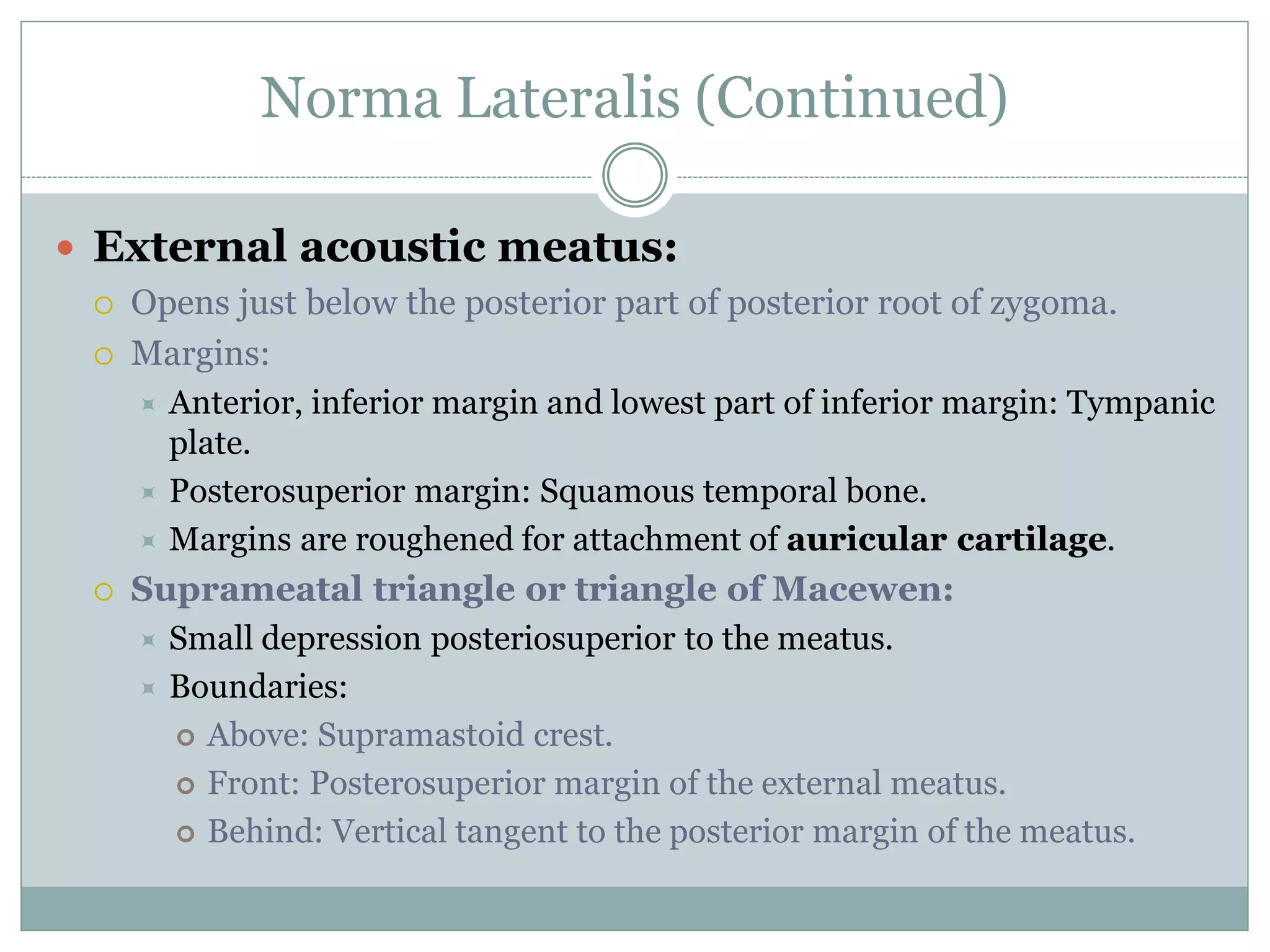 Anatomy head and neck(norma lateralis) | PDF