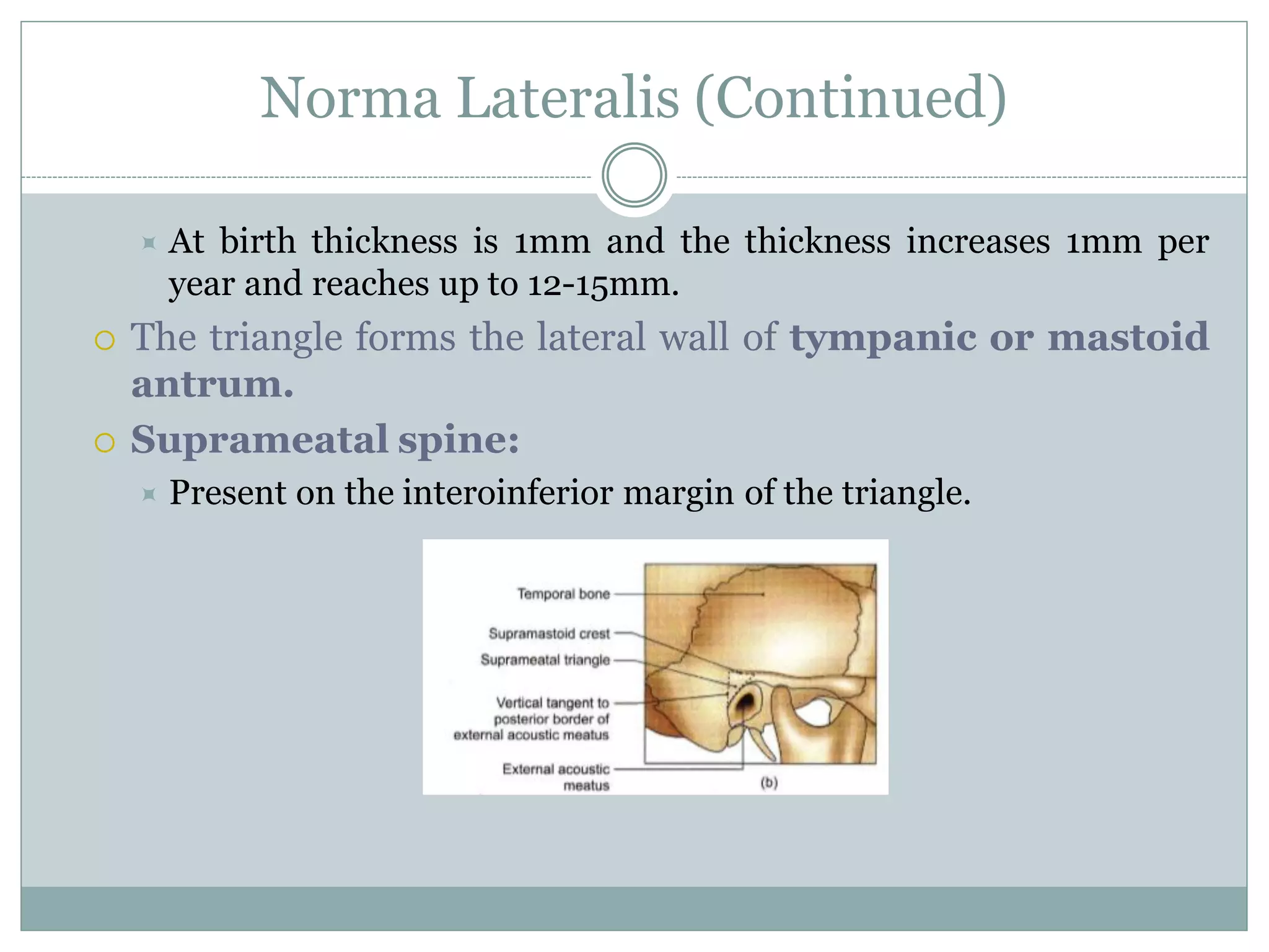 Anatomy head and neck(norma lateralis) | PDF