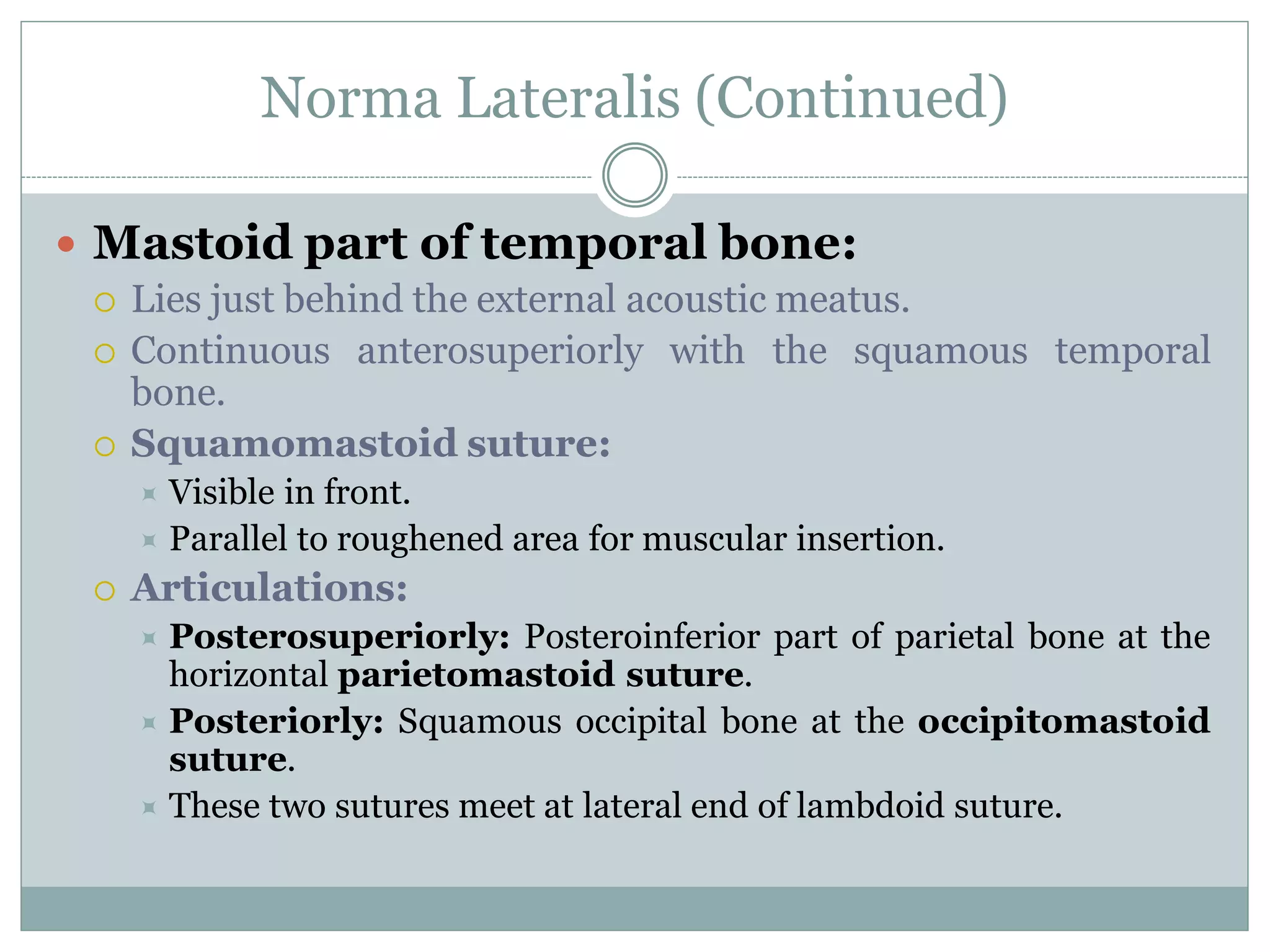Anatomy head and neck(norma lateralis) | PDF