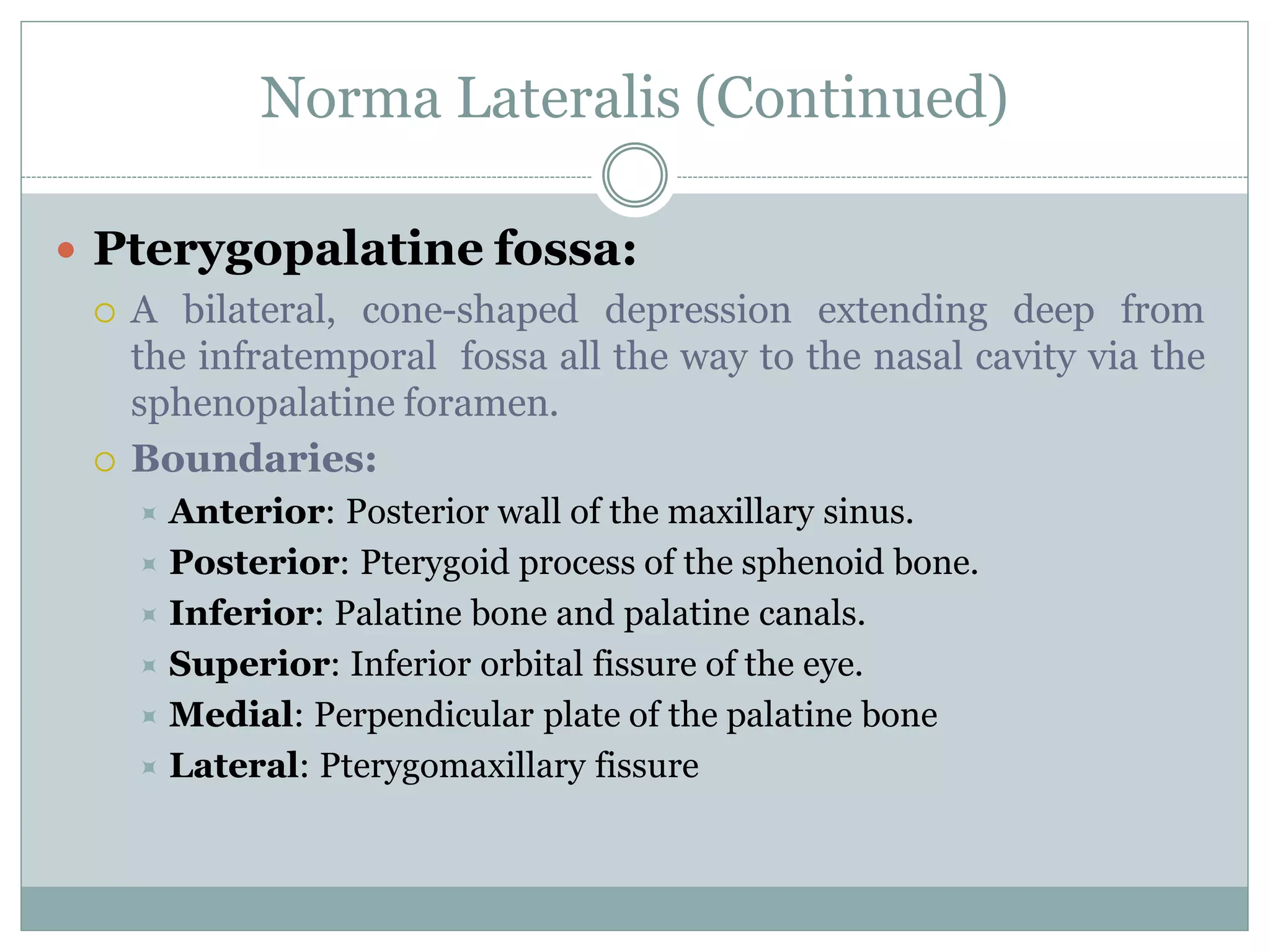 Anatomy head and neck(norma lateralis) | PDF