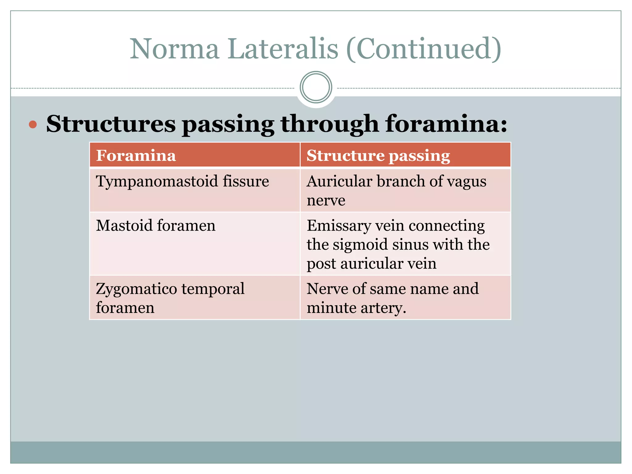 Anatomy head and neck(norma lateralis) | PDF