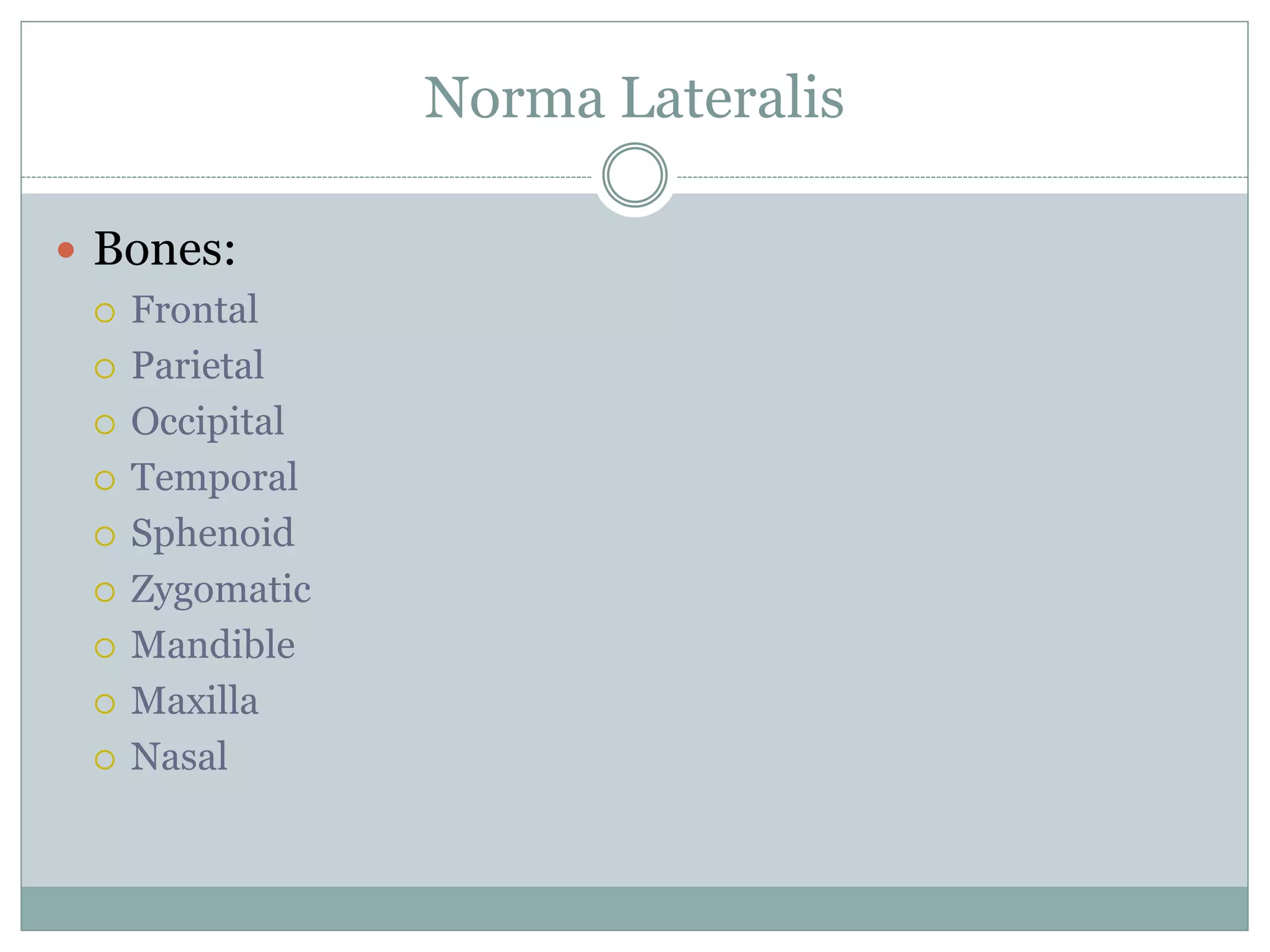 Anatomy head and neck(norma lateralis) | PDF