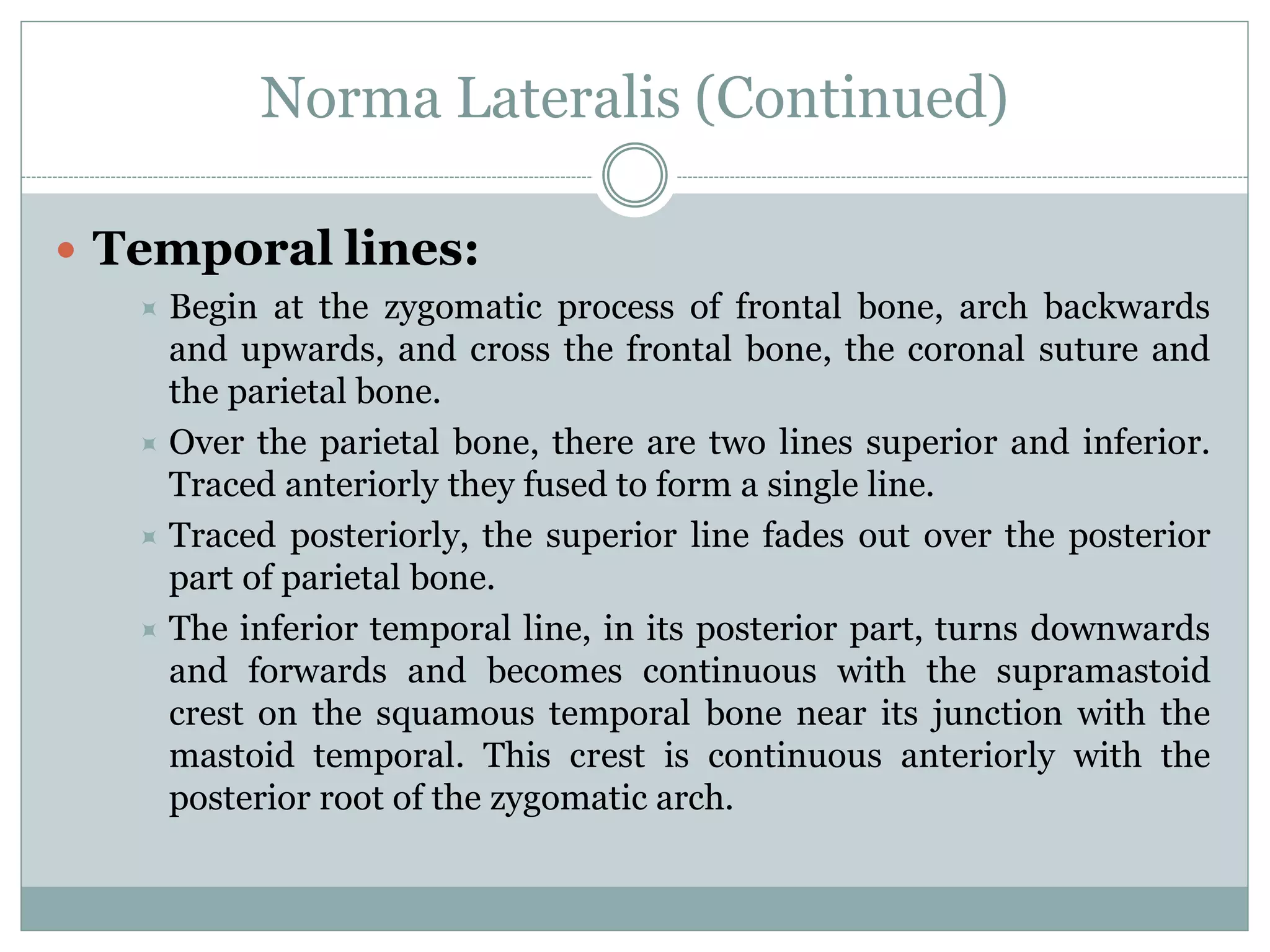 Anatomy head and neck(norma lateralis) | PDF
