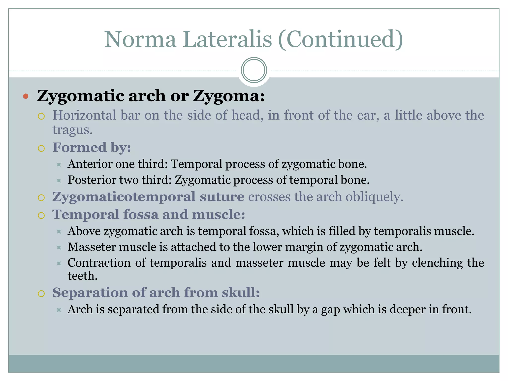 Anatomy head and neck(norma lateralis) | PDF