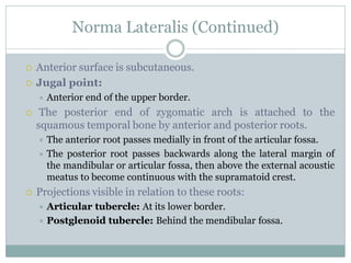 Anatomy head and neck(norma lateralis) | PDF