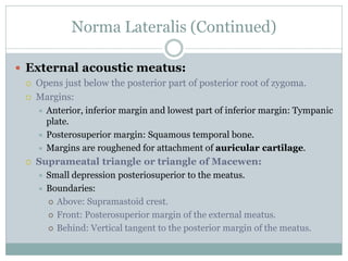 Anatomy head and neck(norma lateralis) | PDF