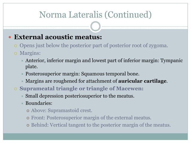 Anatomy head and neck(norma lateralis) | PDF | Death, Injury, or ...