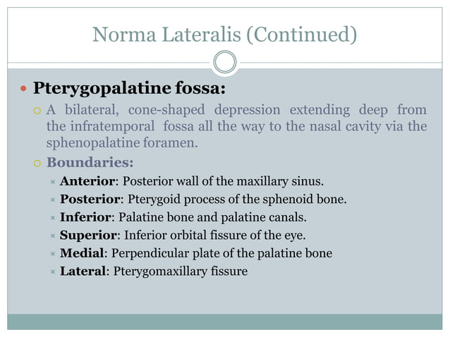 Anatomy head and neck(norma lateralis) | PDF | Death, Injury, or ...