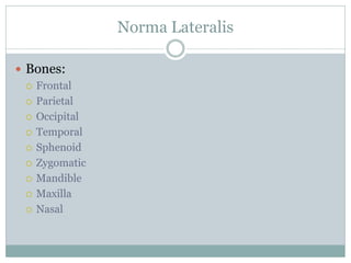 Anatomy head and neck(norma lateralis) | PDF