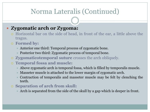 Anatomy head and neck(norma lateralis) | PDF | Death, Injury, or ...