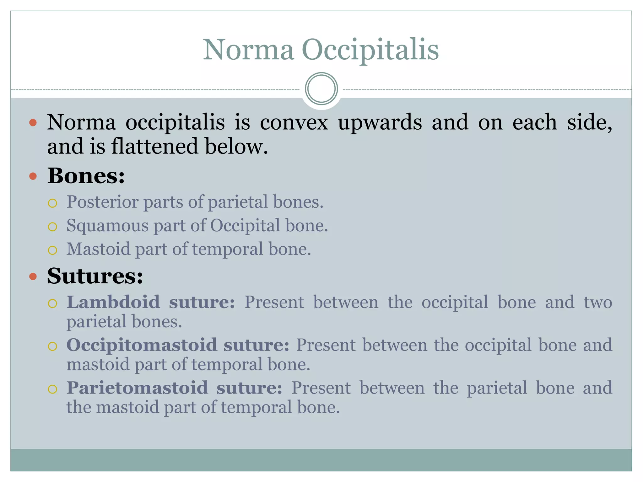 Anatomy head and neck (norma occipitalis) pptx | PDF