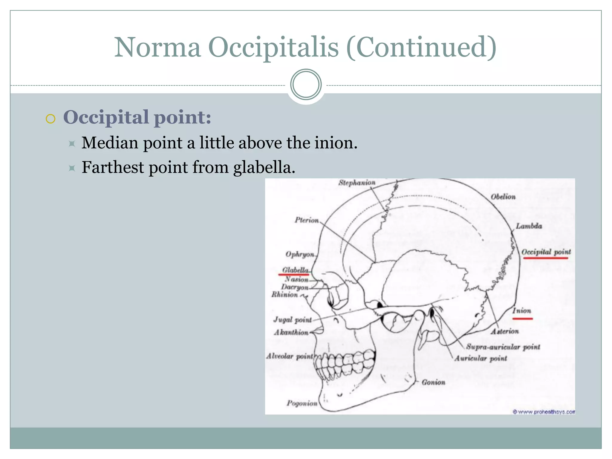 Anatomy head and neck (norma occipitalis) pptx | PDF