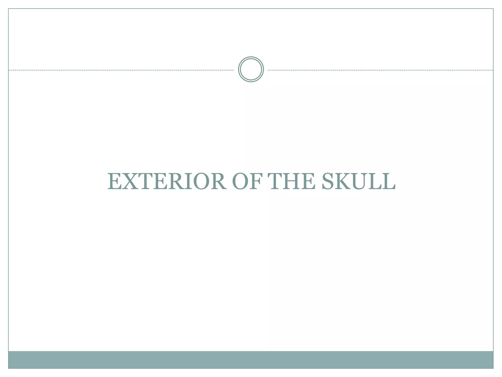 Anatomy head and neck (norma verticalis) | PDF