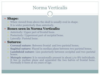 Anatomy head and neck (norma verticalis) | PDF