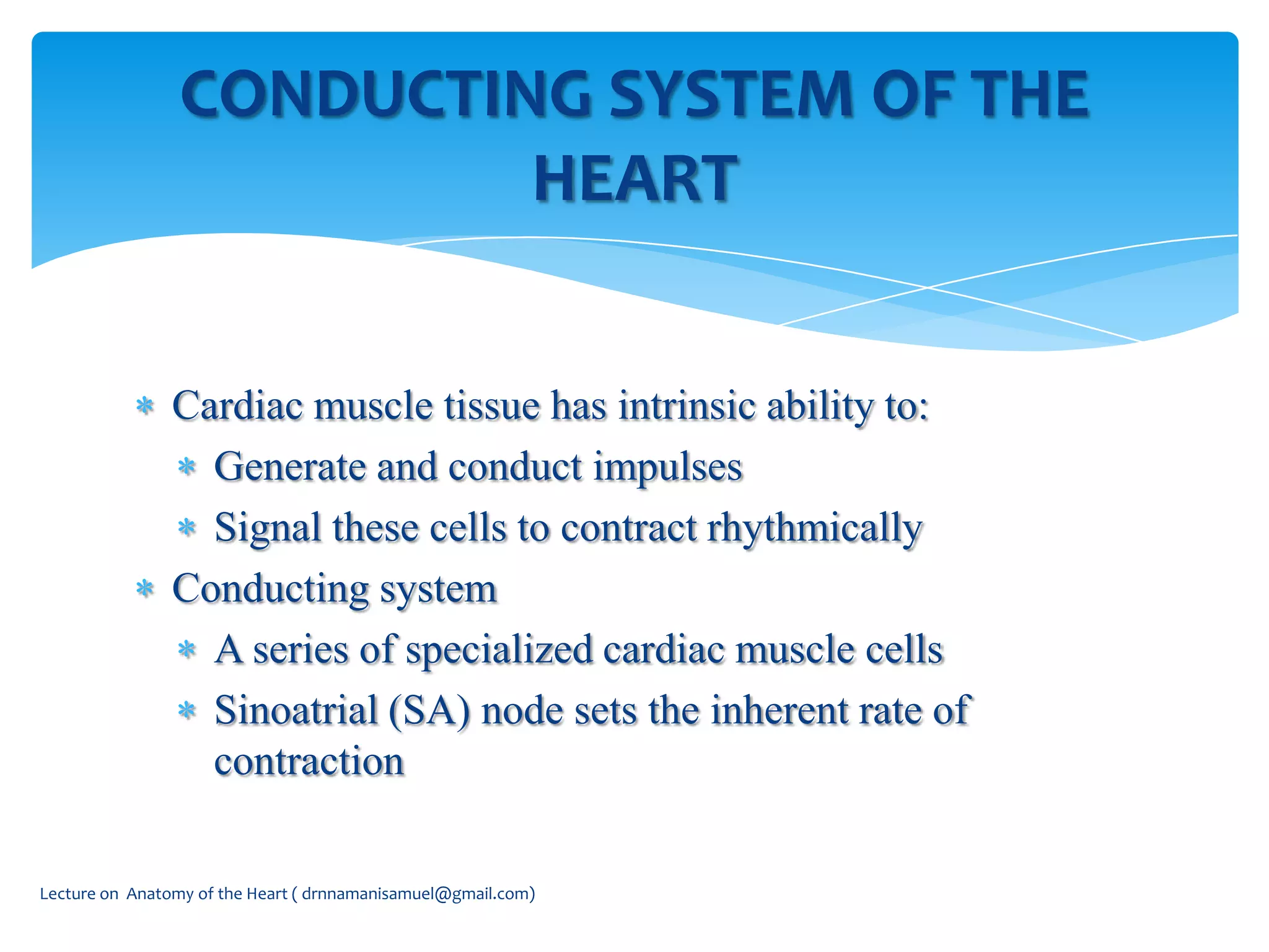 Anatomy of the Heart | PPTX