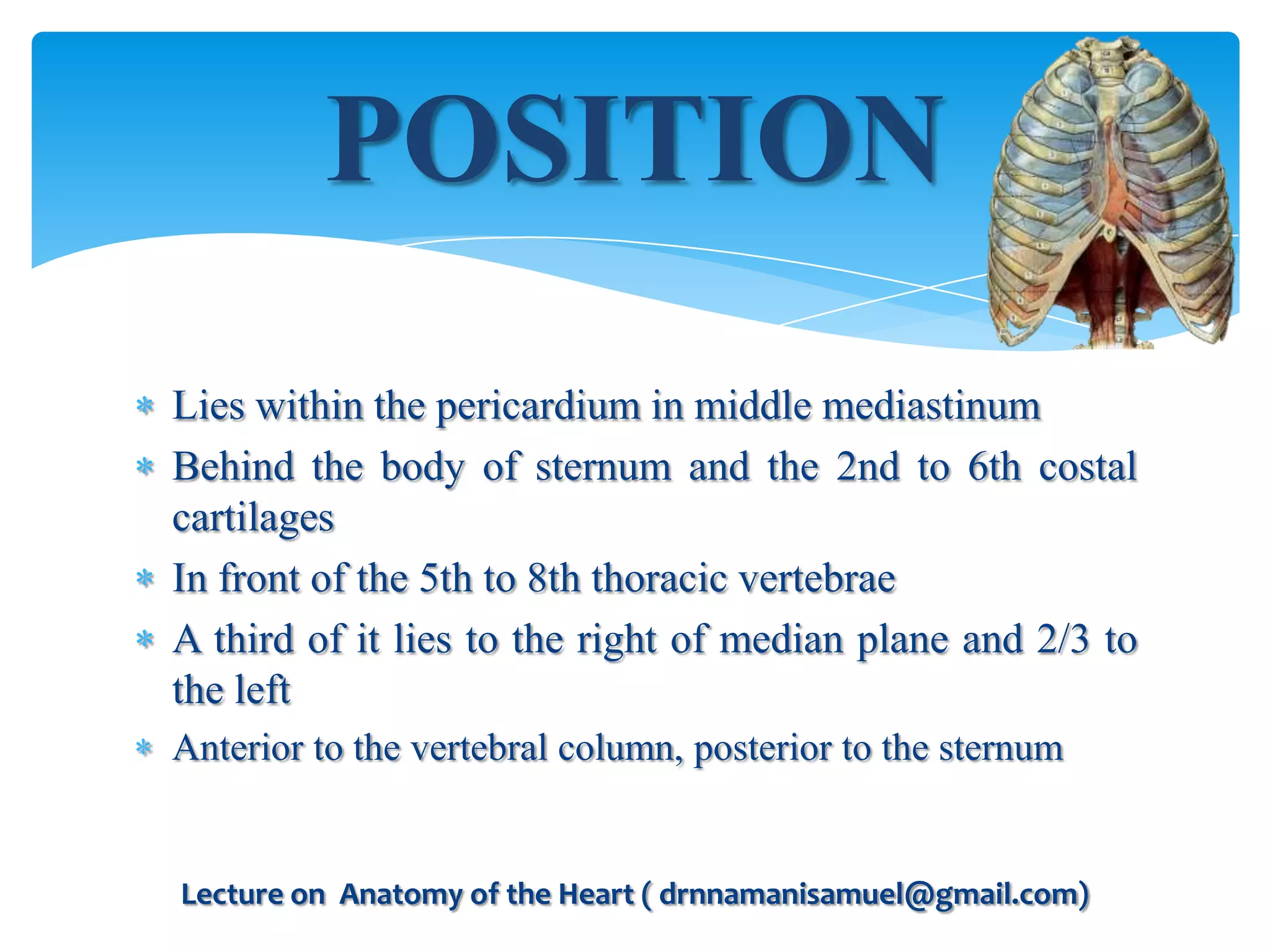 Anatomy of the Heart | PPTX