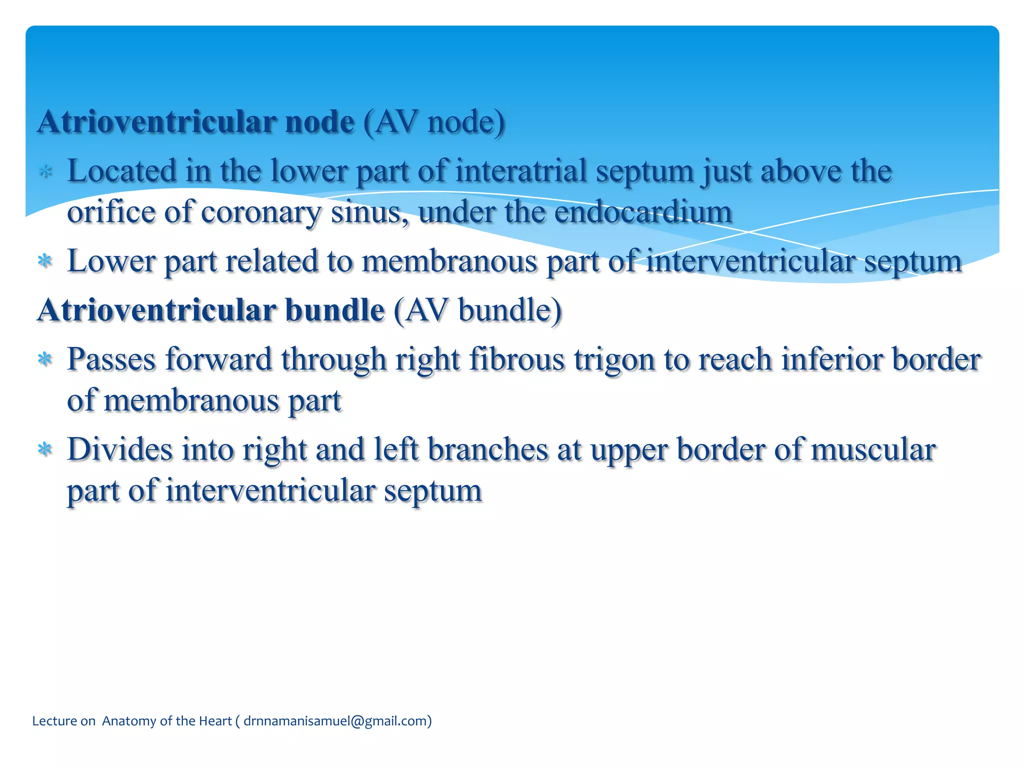 Anatomy of the Heart | PPTX