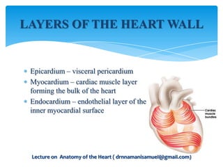 Anatomy of the Heart | PPTX