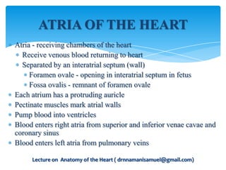 Anatomy of the Heart | PPTX