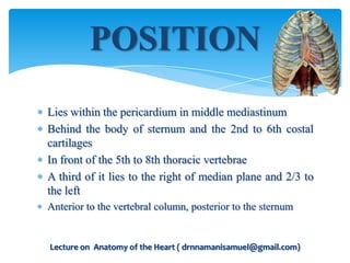 Anatomy of the Heart | PPTX
