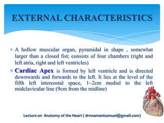 Anatomy of the Heart | PPTX
