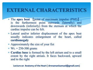 Anatomy of the Heart | PPTX