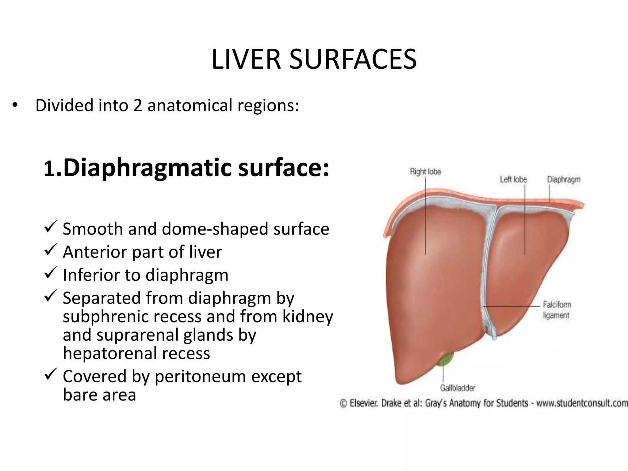 ANATOMY HEPATOBILIARY.pptx