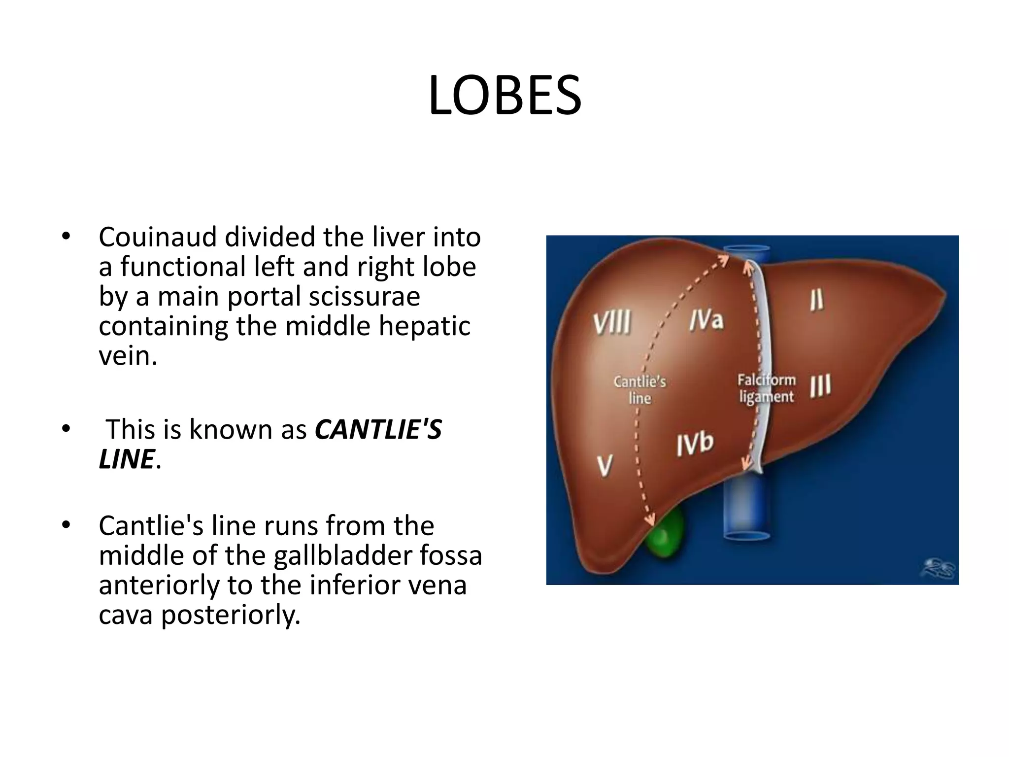 ANATOMY HEPATOBILIARY.pptx