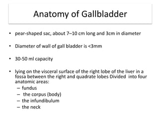 ANATOMY HEPATOBILIARY.pptx