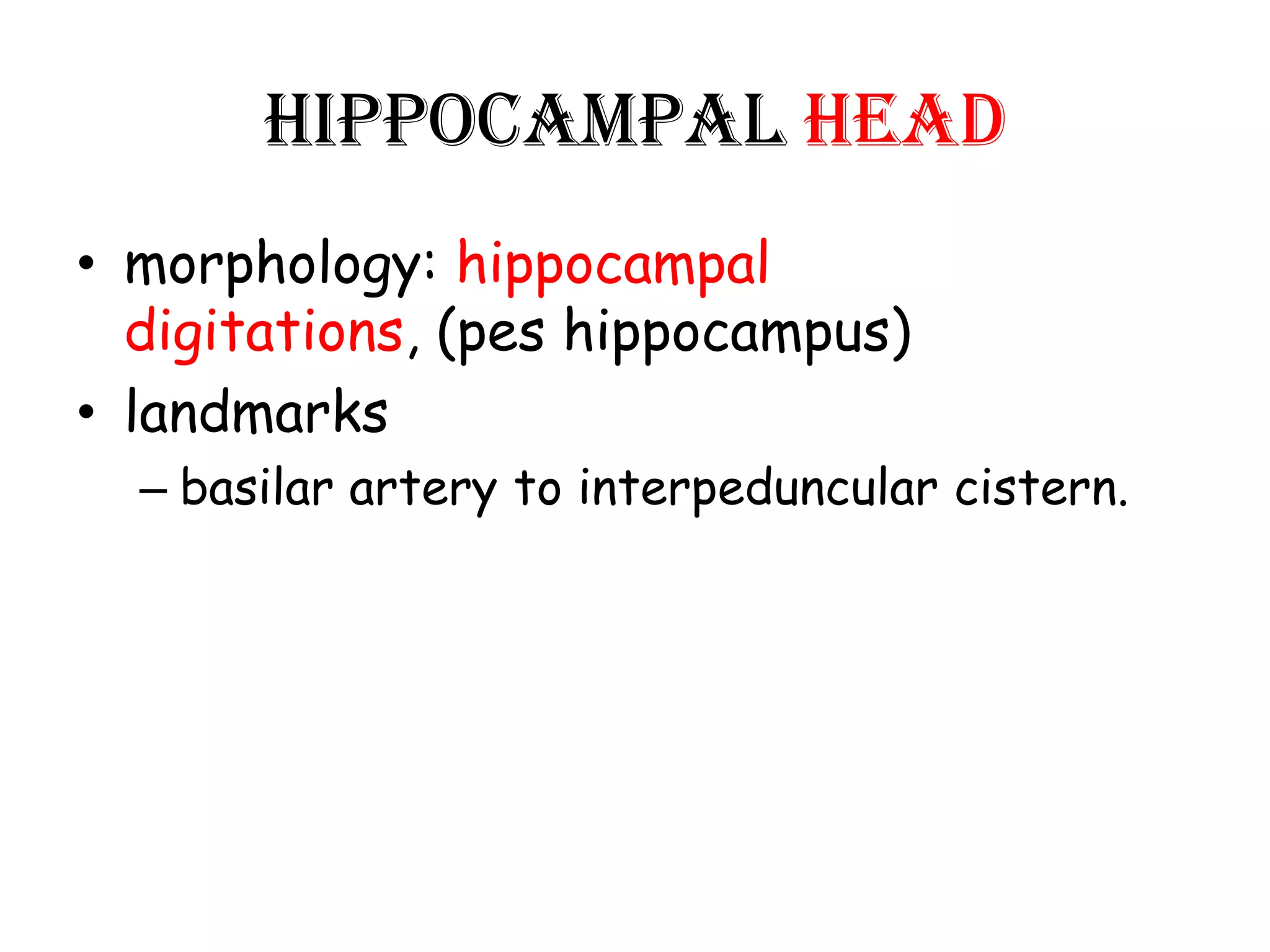 Anatomy of hippocampus ( radiology ) | PPTX