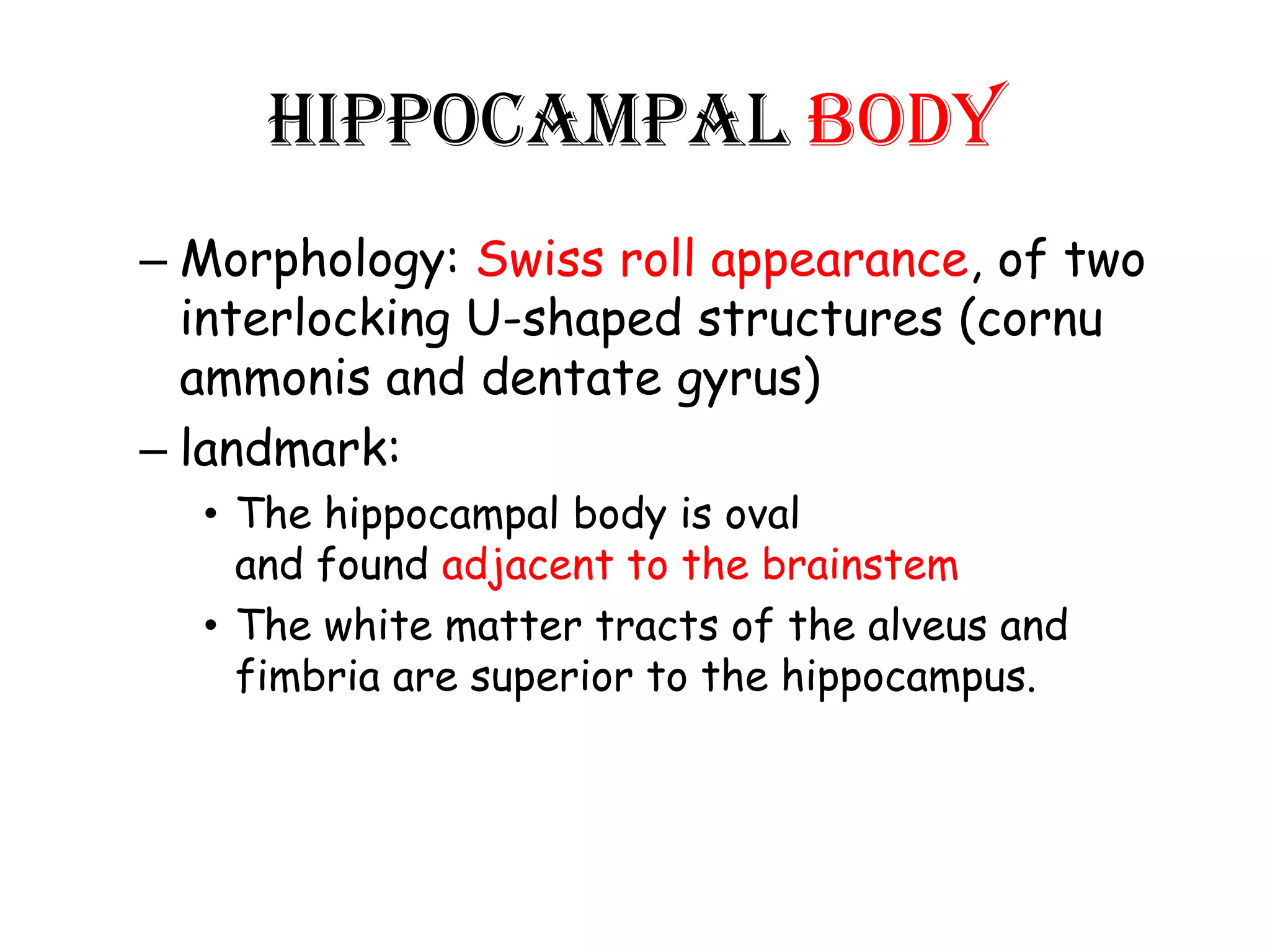 Anatomy of hippocampus ( radiology ) | PPTX