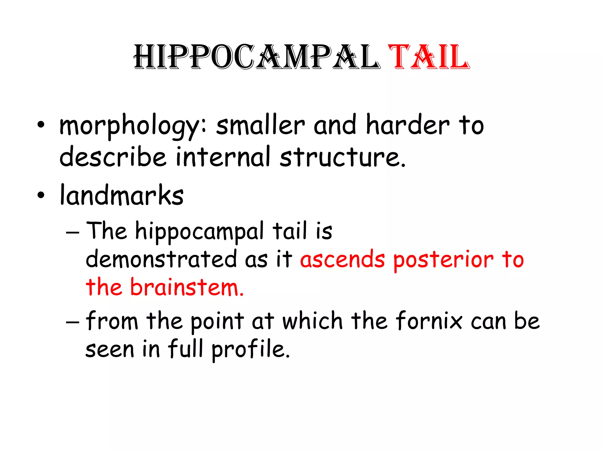 Anatomy of hippocampus ( radiology ) | PPTX