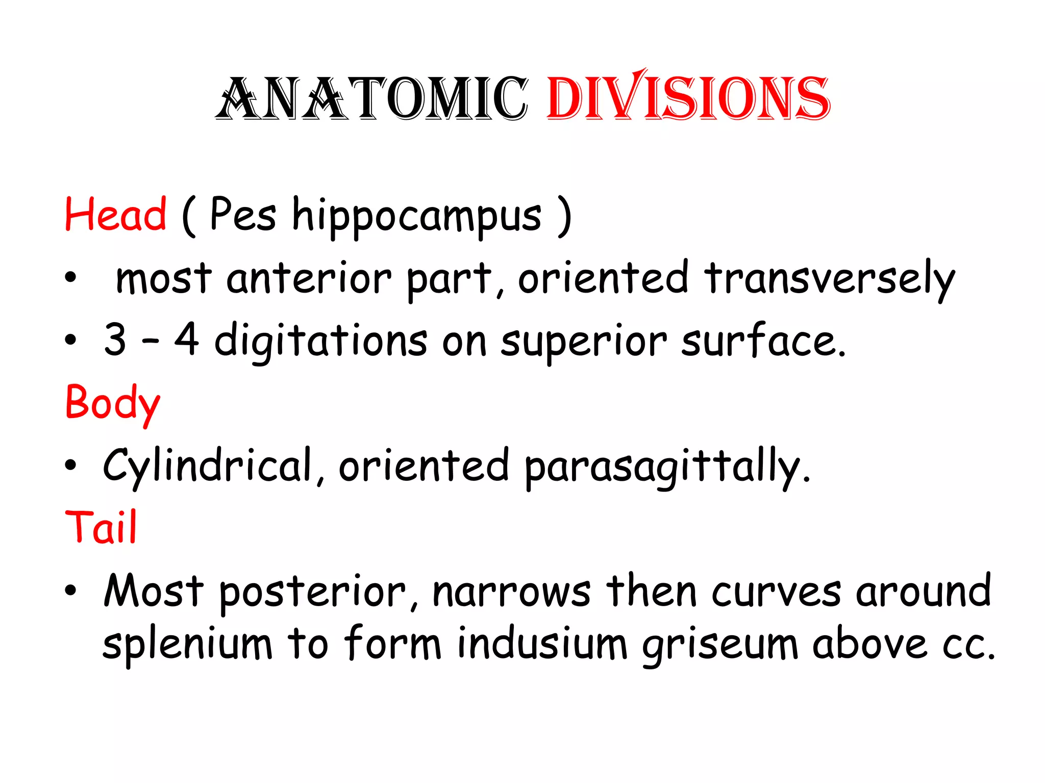Anatomy of hippocampus ( radiology ) | PPTX