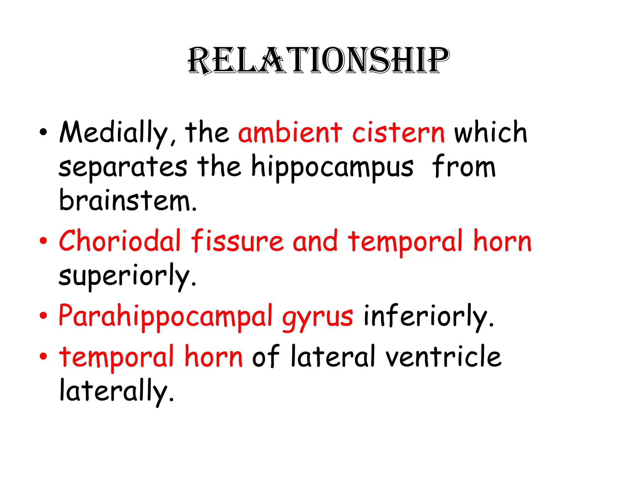 Anatomy of hippocampus ( radiology ) | PPTX