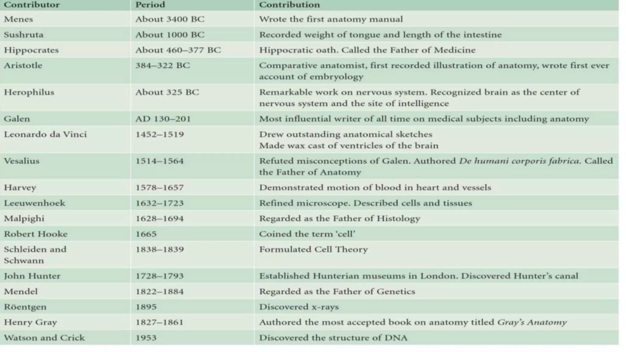 Anatomy history | PPT