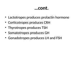 Anatomy hypothalamus and the pituitary.pptx
