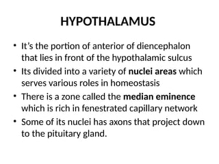 Anatomy hypothalamus and the pituitary.pptx
