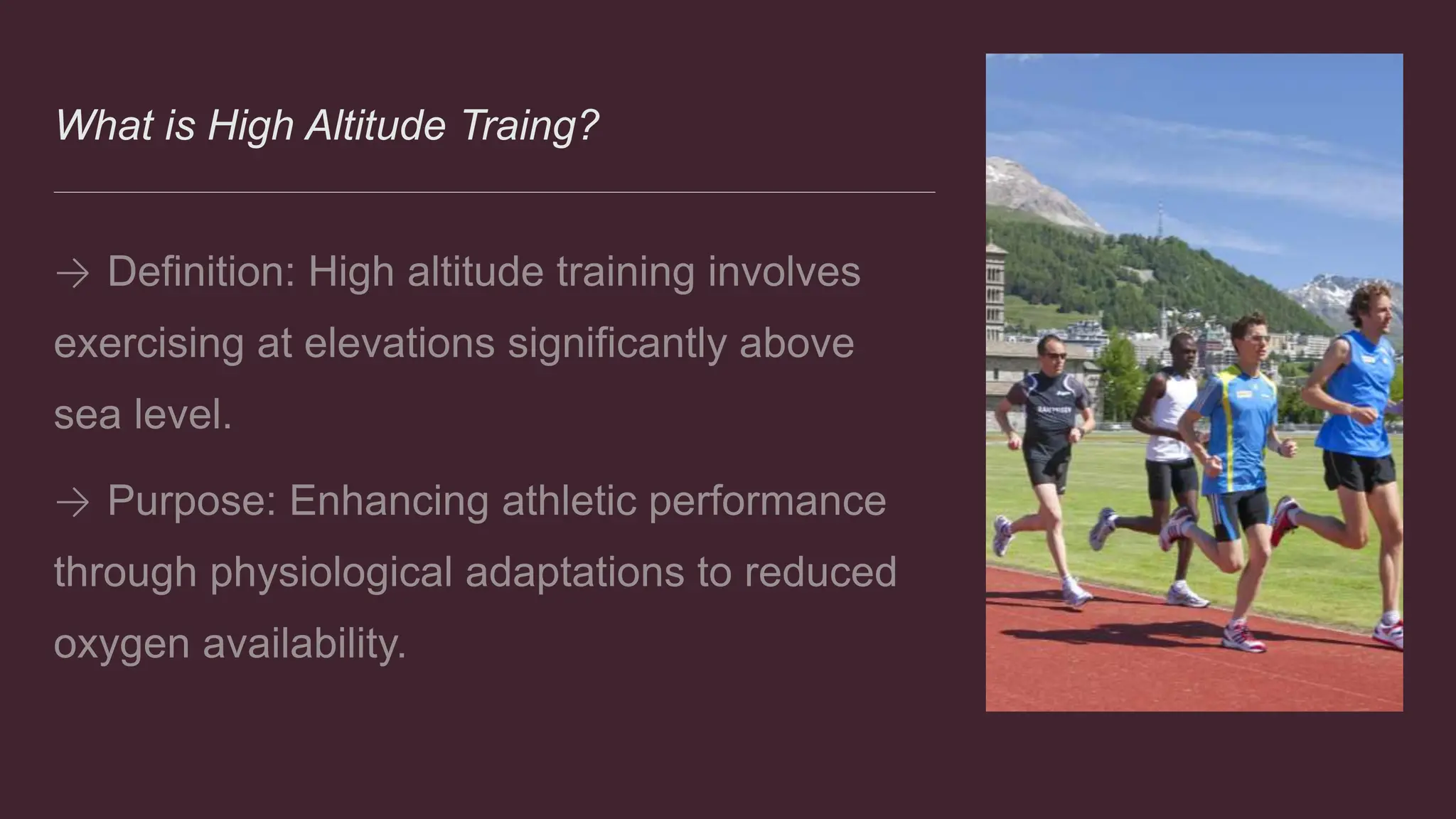 Anatomy I - Presentation.pptx High altitude training | PPTX