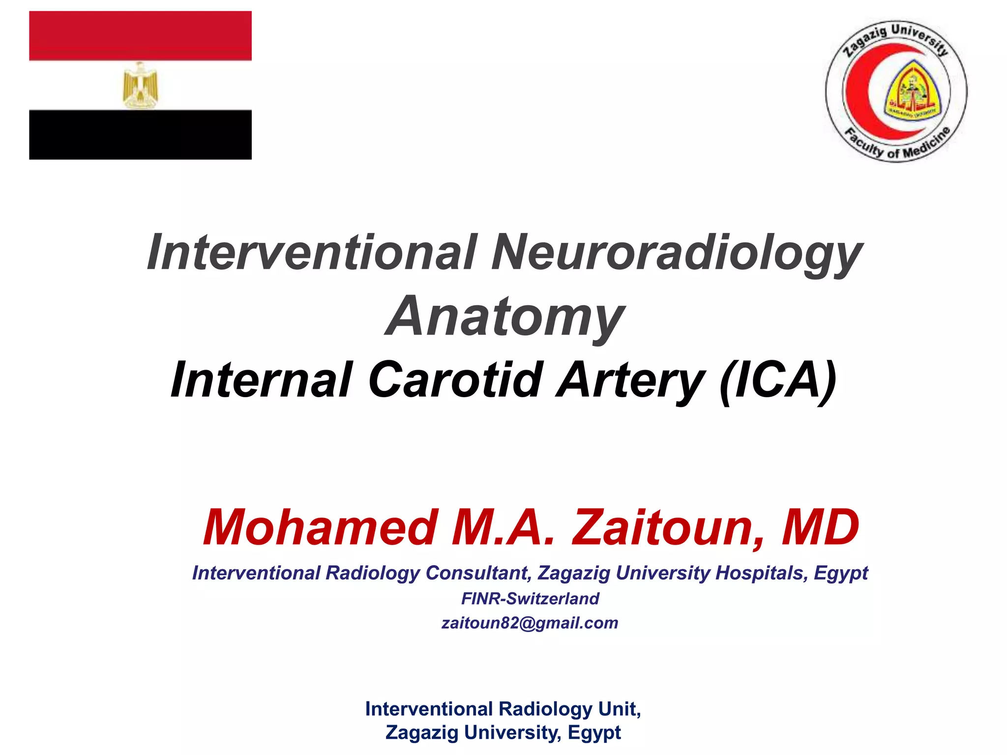 Interventional Neuroradiology: Anatomy of the internal carotid artery ...