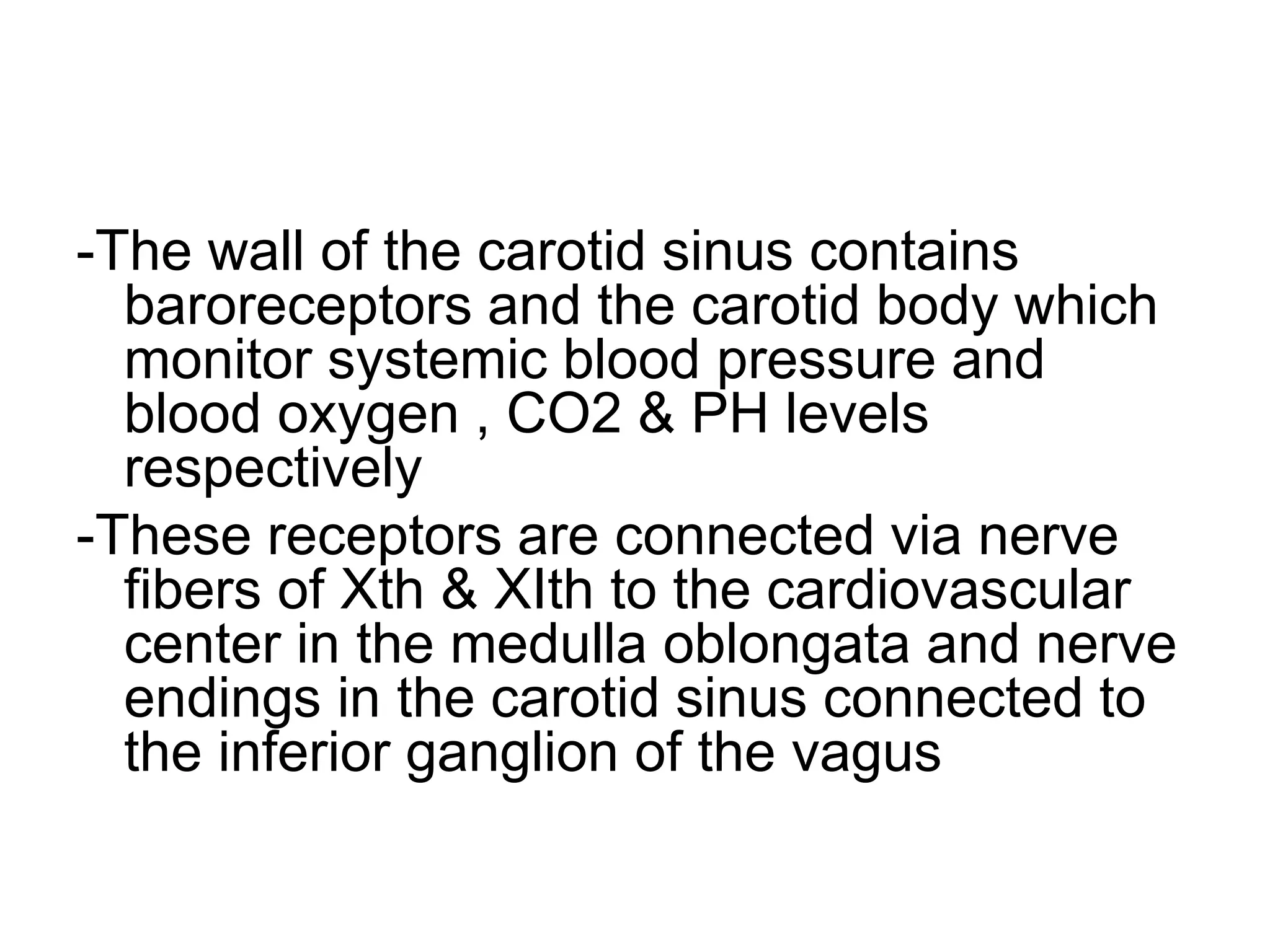 Interventional Neuroradiology: Anatomy of the internal carotid artery ...