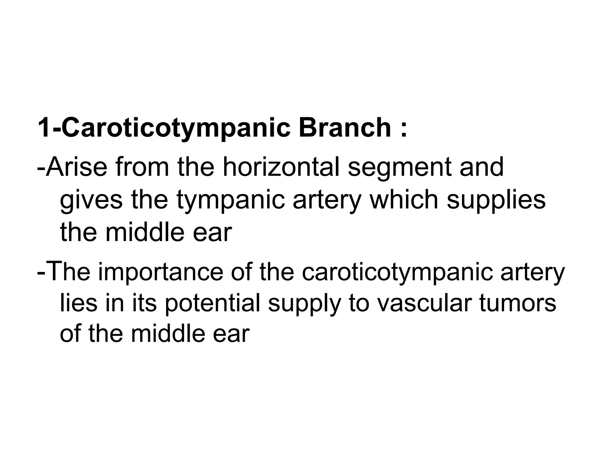 Interventional Neuroradiology: Anatomy of the internal carotid artery ...