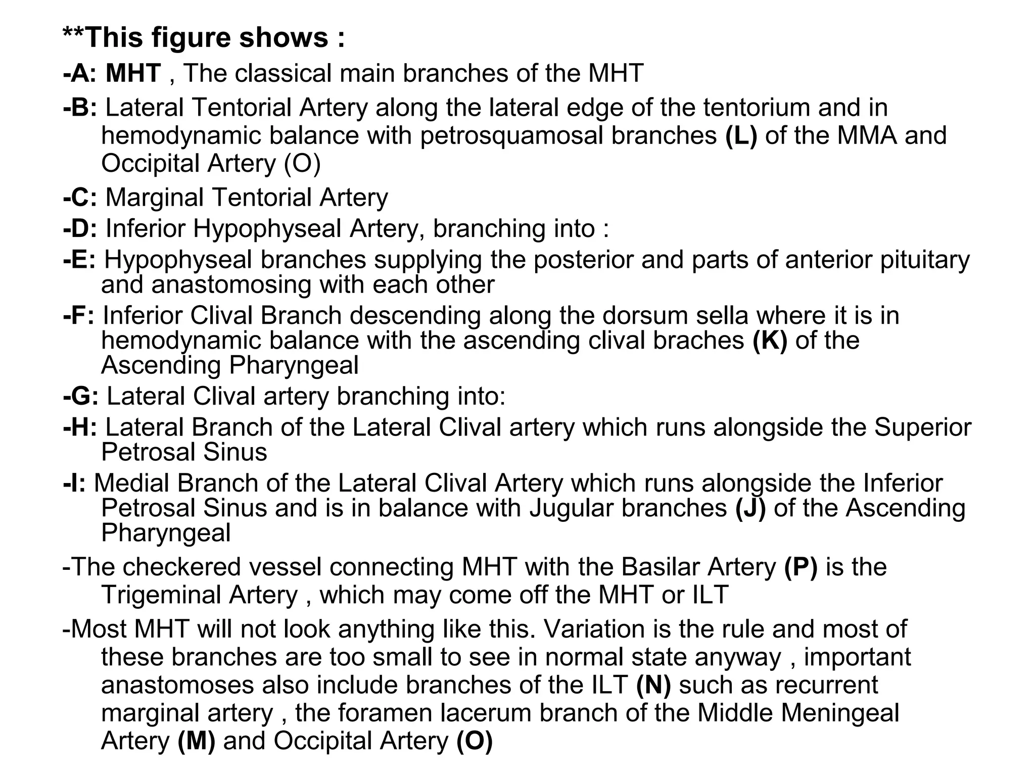 Interventional Neuroradiology: Anatomy of the internal carotid artery ...