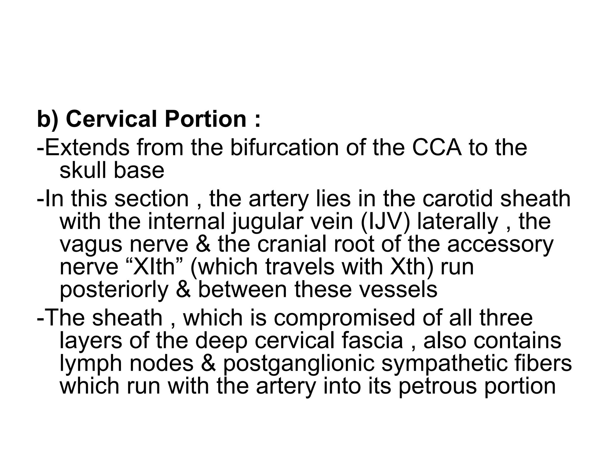 Interventional Neuroradiology: Anatomy of the internal carotid artery ...