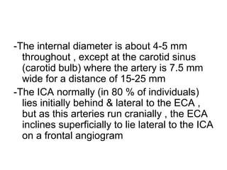 Interventional Neuroradiology: Anatomy of the internal carotid artery ...