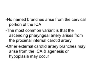 Interventional Neuroradiology: Anatomy of the internal carotid artery ...